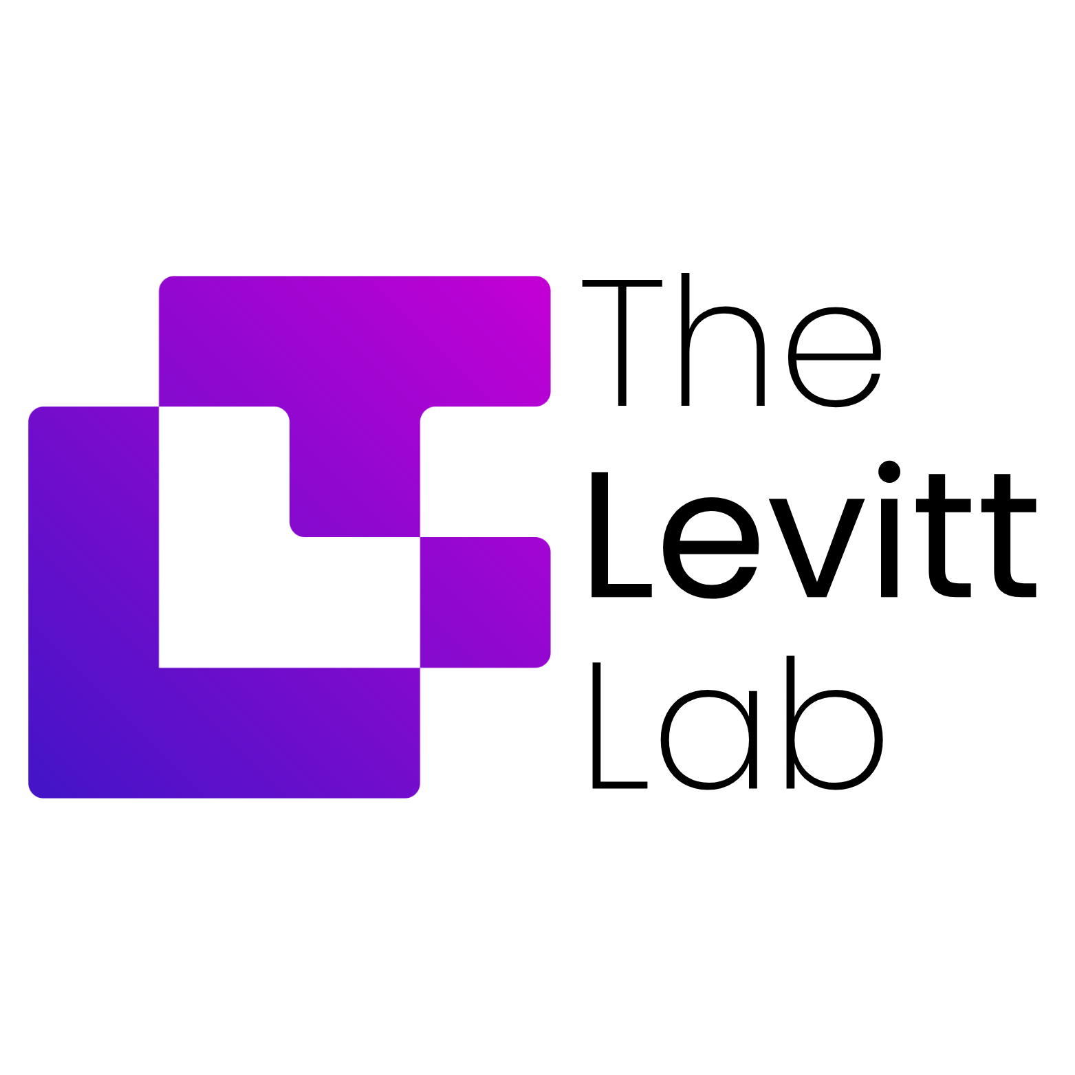 The Levitt Lab | Meet the Team